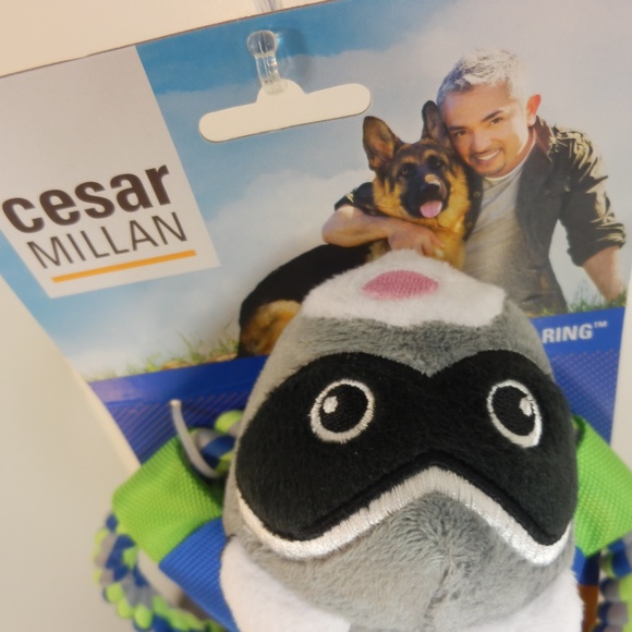 Cesar Millan | Other | Cesar Millan Fling A Ring High Activity Dog Toy ...